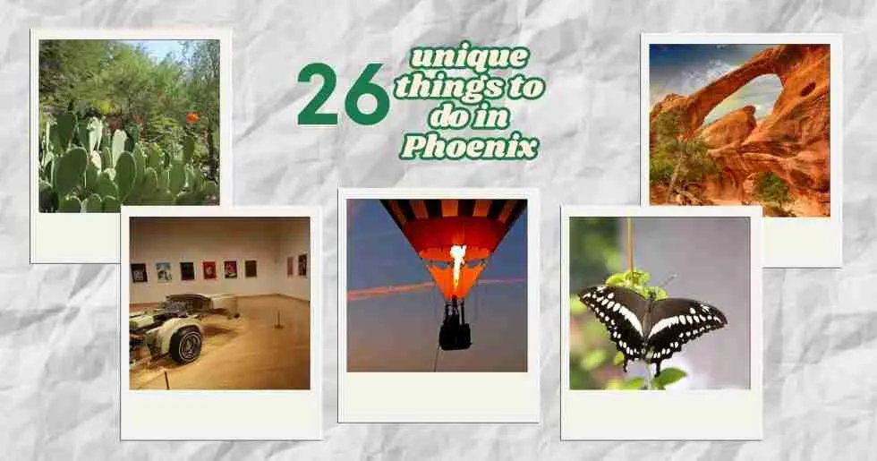 Top 26 Unique Things To Do In Phoenix (Best Guide) | Campervan Rental ...
